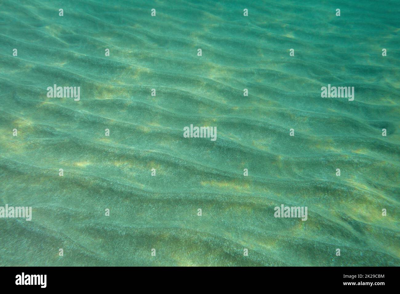 Sea bottom underwater photo, "dunes" in sand lit by sunlight. Abstract ...