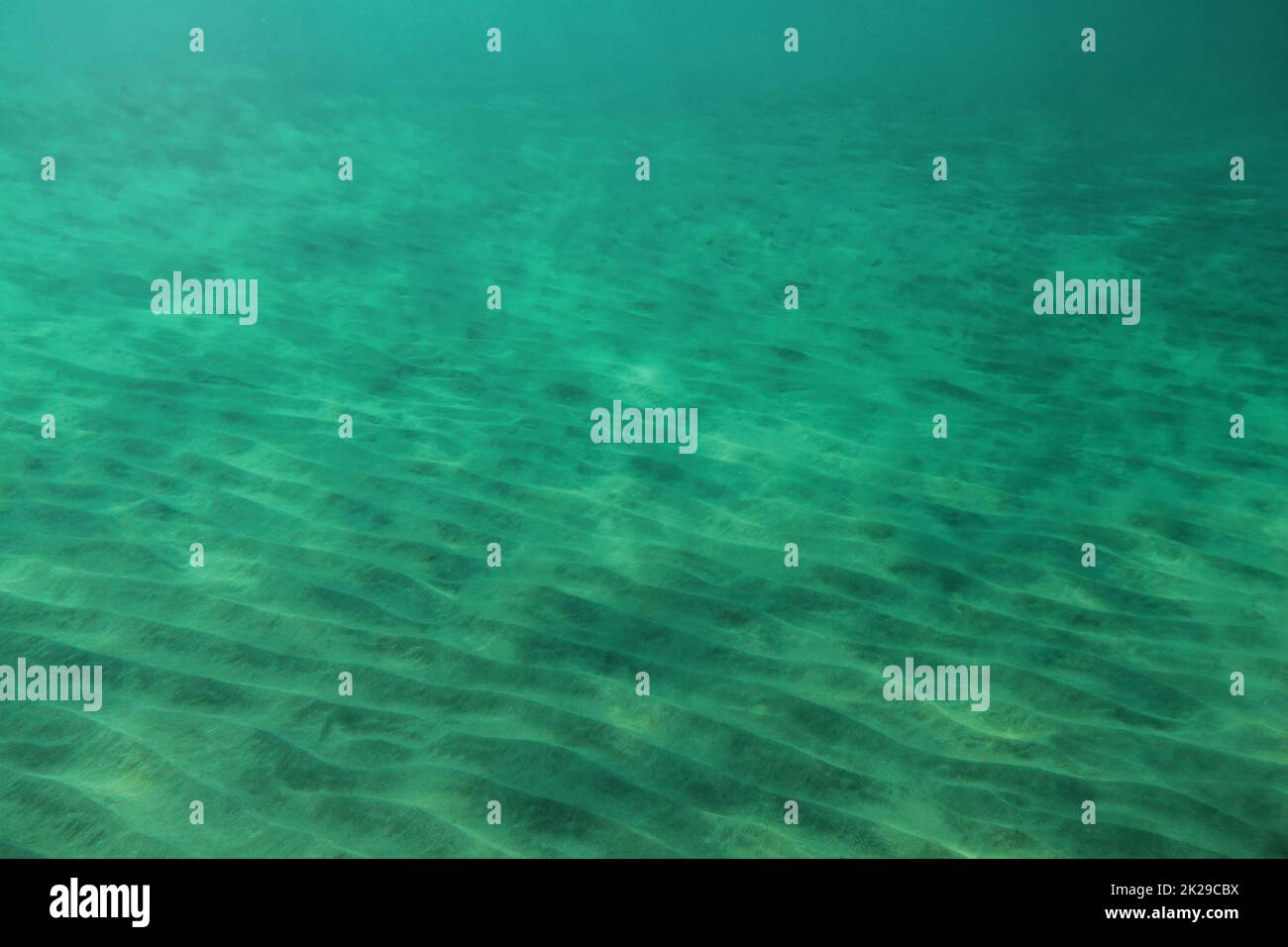Sea bottom, small "dunes" in sand lit by sun shining from above ...