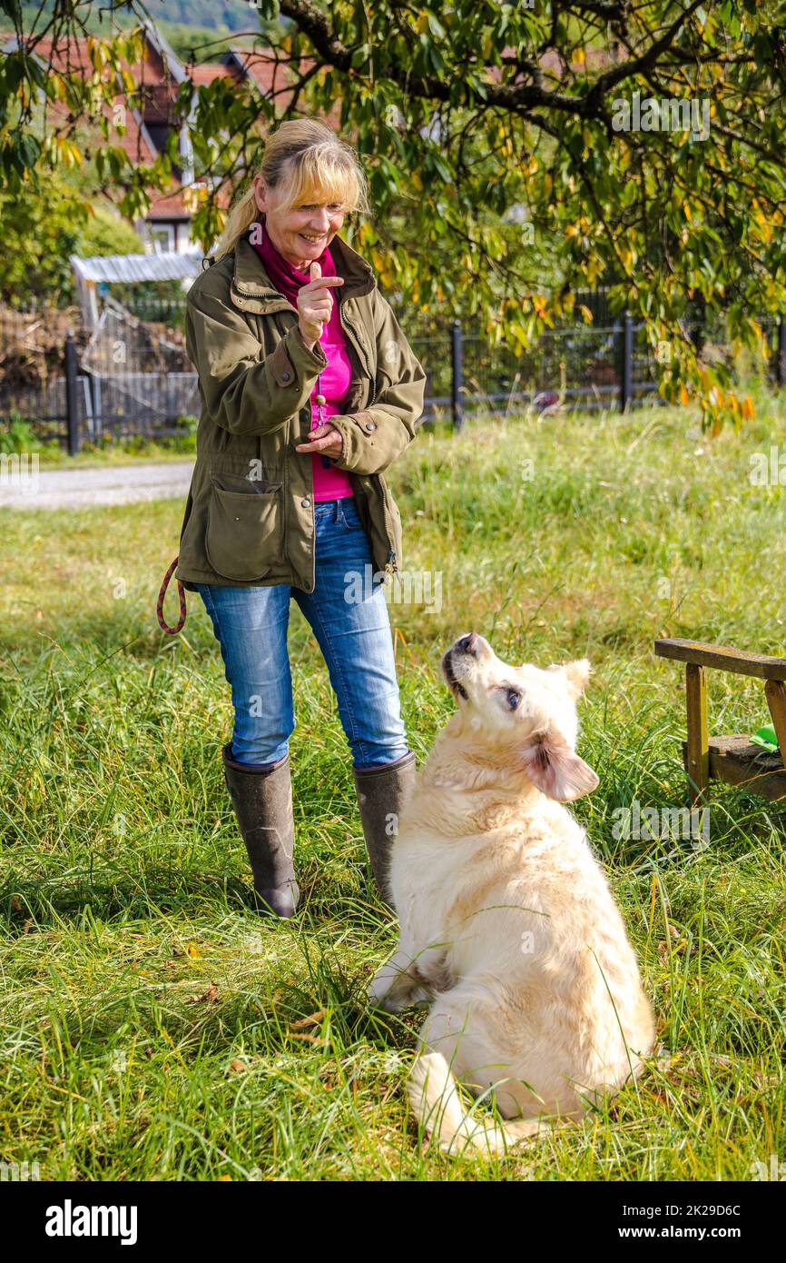 Handling dog hi-res stock photography and images - Alamy