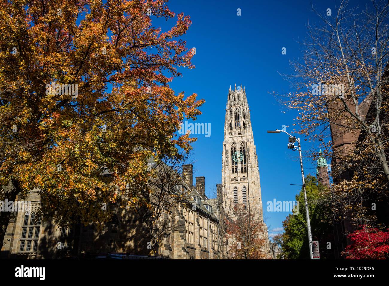 Yale university buildings in New Haven, CT USA Stock Photo - Alamy