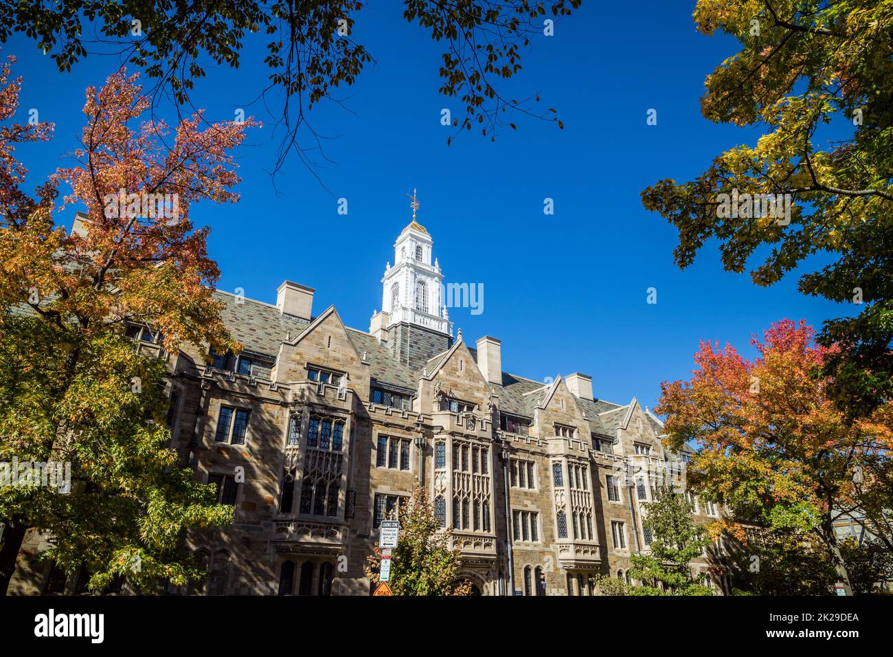 Yale university buildings in New Haven, CT USA Stock Photo - Alamy