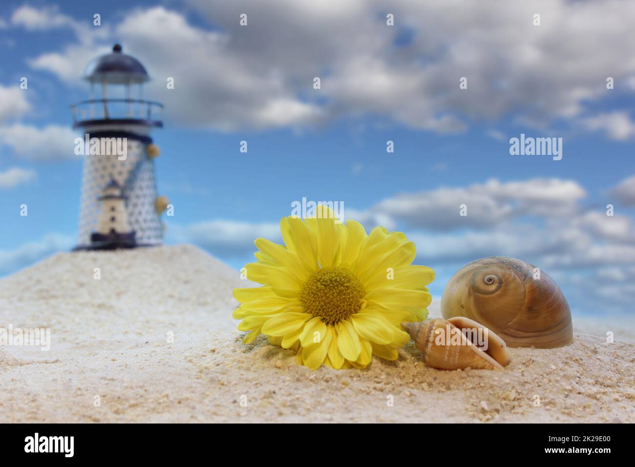 Sea Shells and Flower on Beach With Lighthouse in Background Stock ...