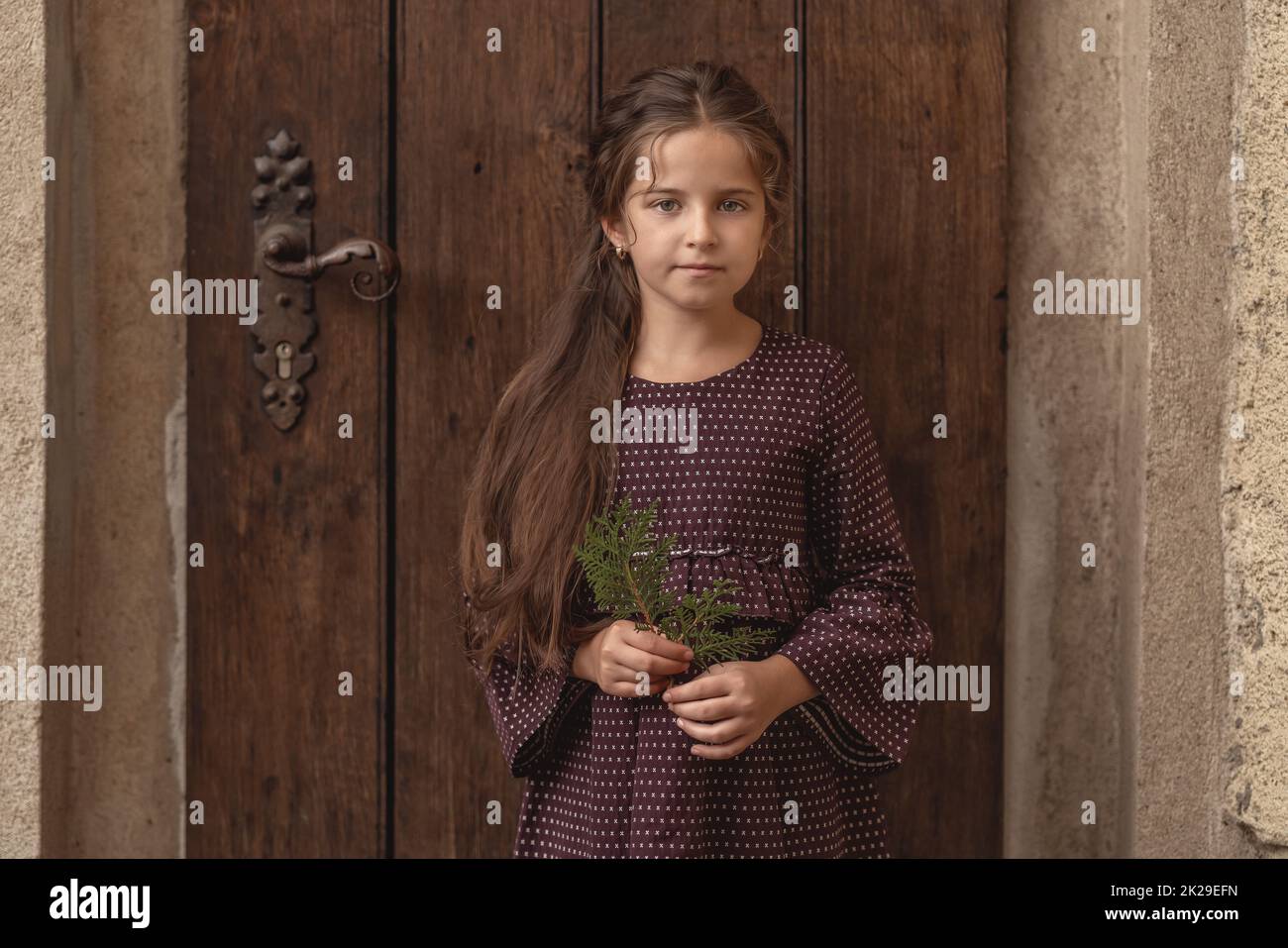 Portrait of a beautiful little girl with long hair Stock Photo - Alamy