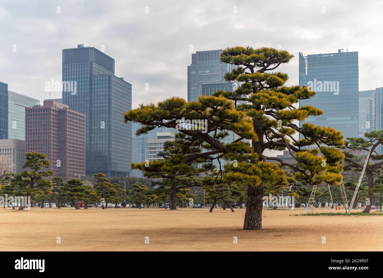 Kokyo Gaien National Garden I Stock Photo - Alamy
