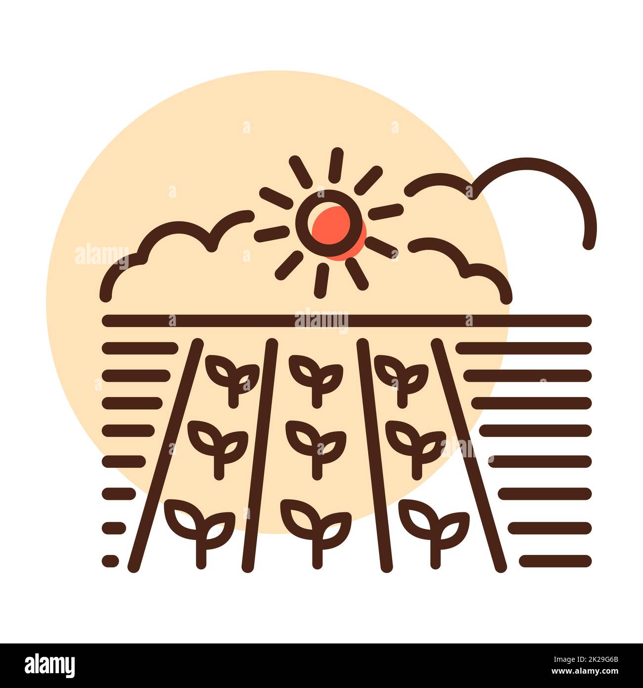 Agricultural field growing plants Cut Out Stock Images & Pictures - Alamy