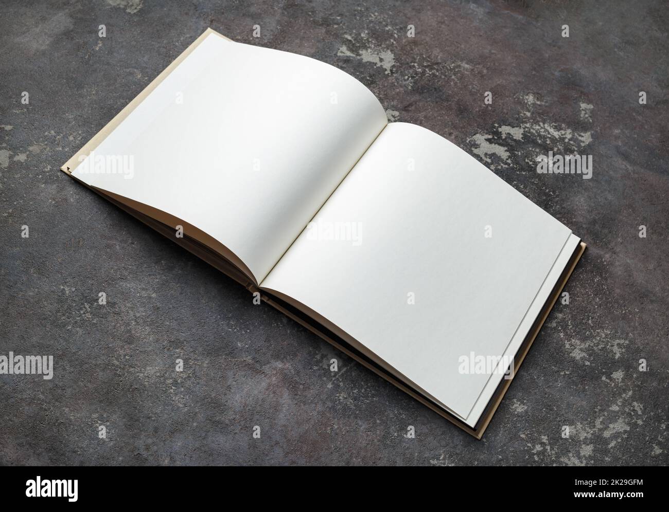 Blank opened brochure Stock Photo - Alamy