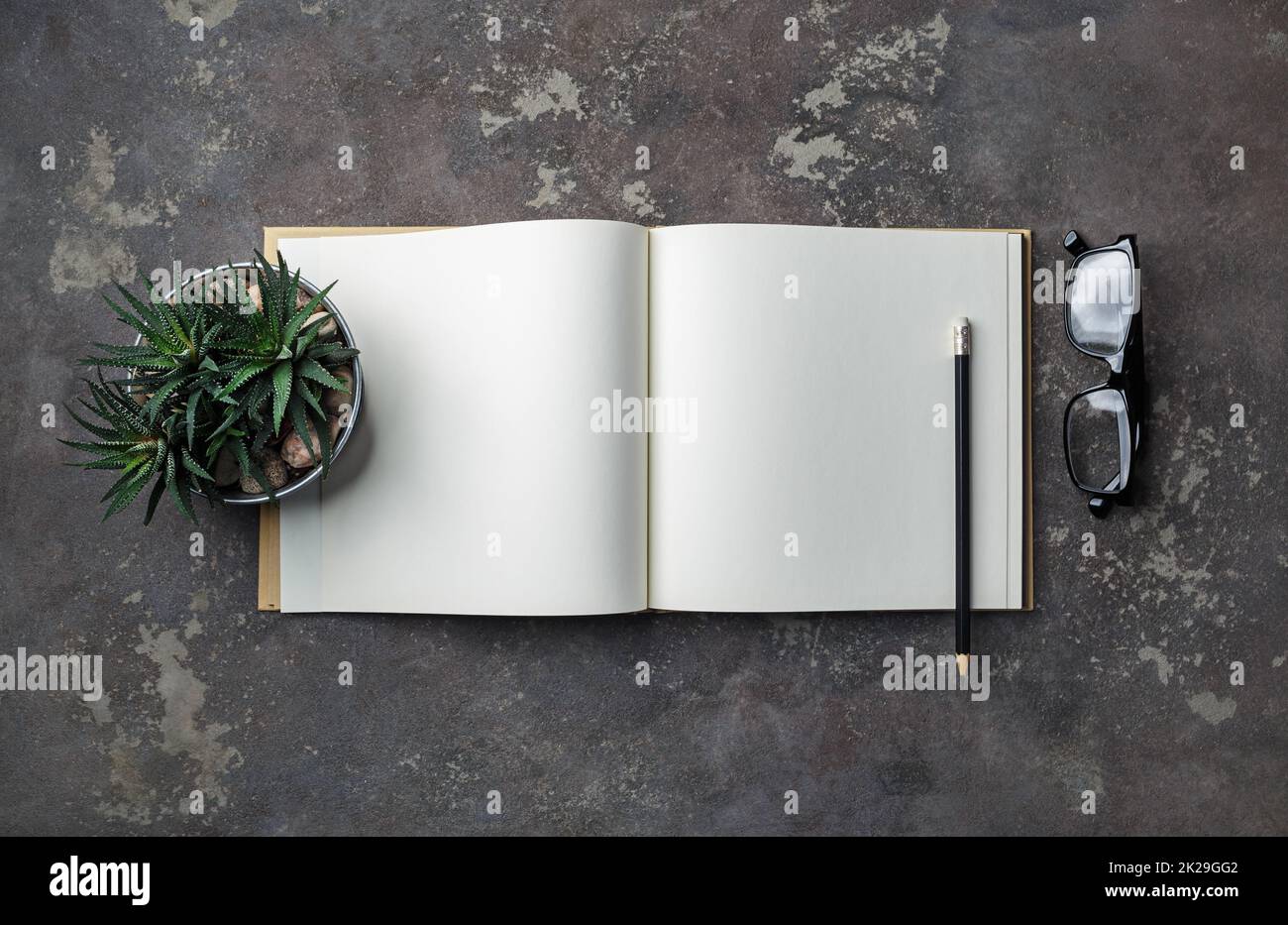 Book, plant, pencil, glasses Stock Photo - Alamy
