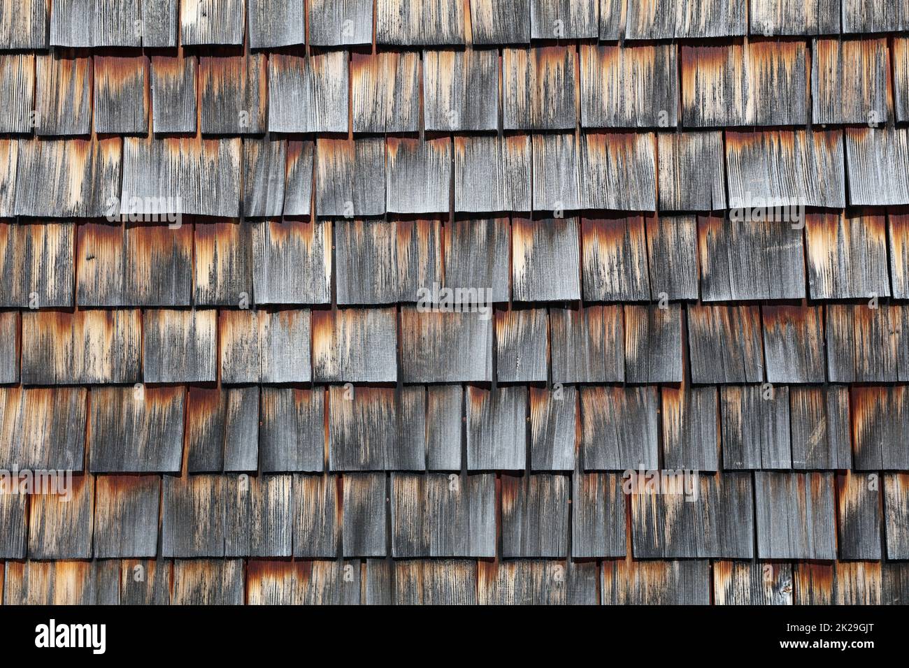 Cedar texture hi-res stock photography and images - Alamy