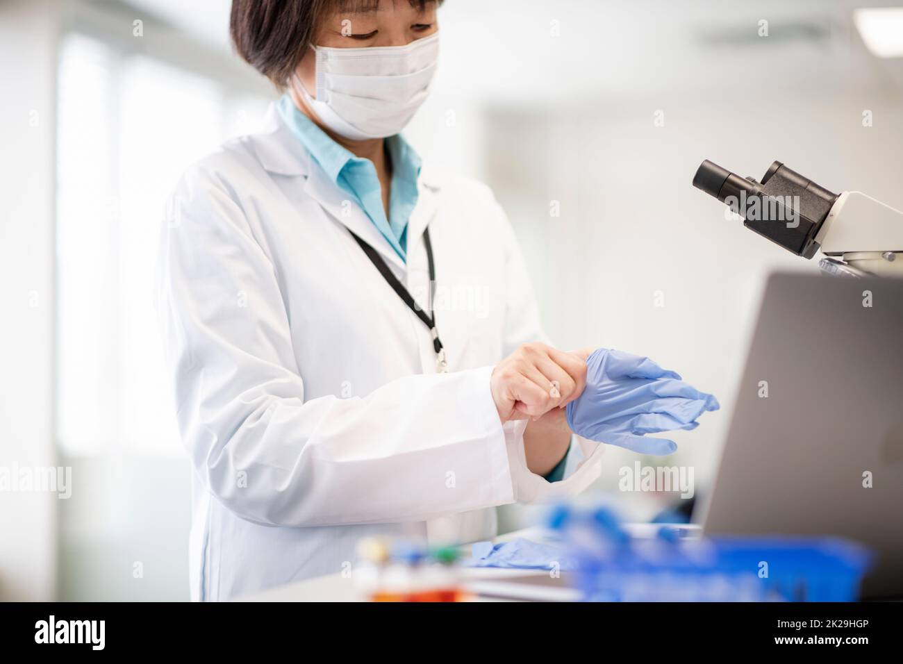 Medical researcher putting on protective gloves in laboratory Stock ...