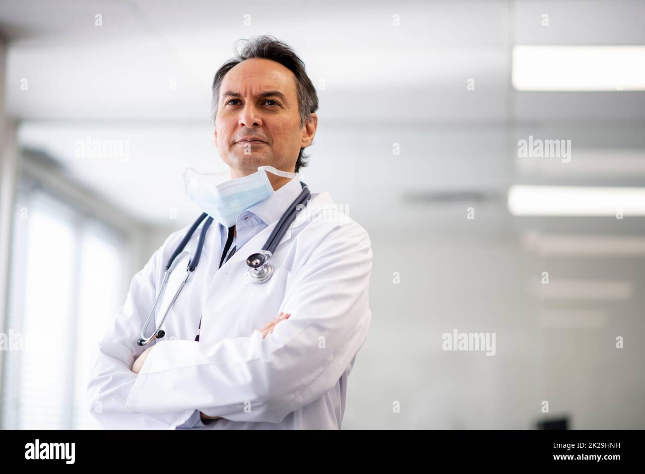 Laboratory series hi-res stock photography and images - Alamy