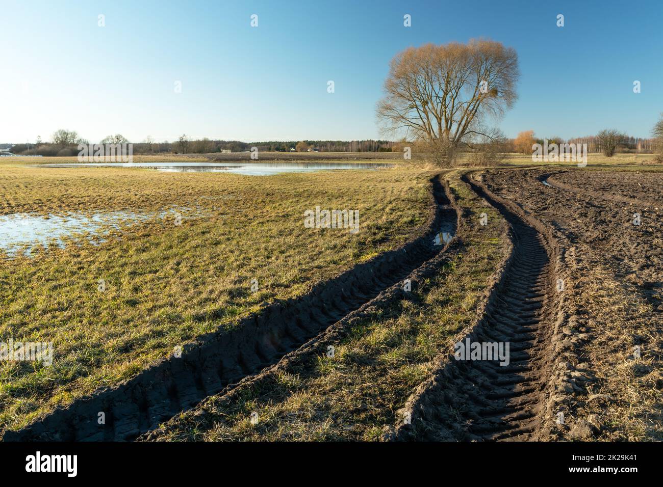 Mud field in poland hi-res stock photography and images - Alamy