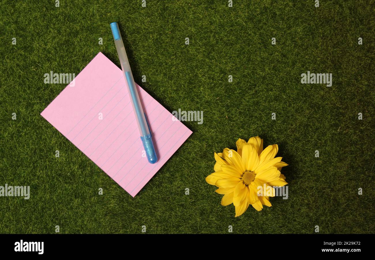 Blank Note paper on Green Grass Background With Colorful Flowers Stock ...