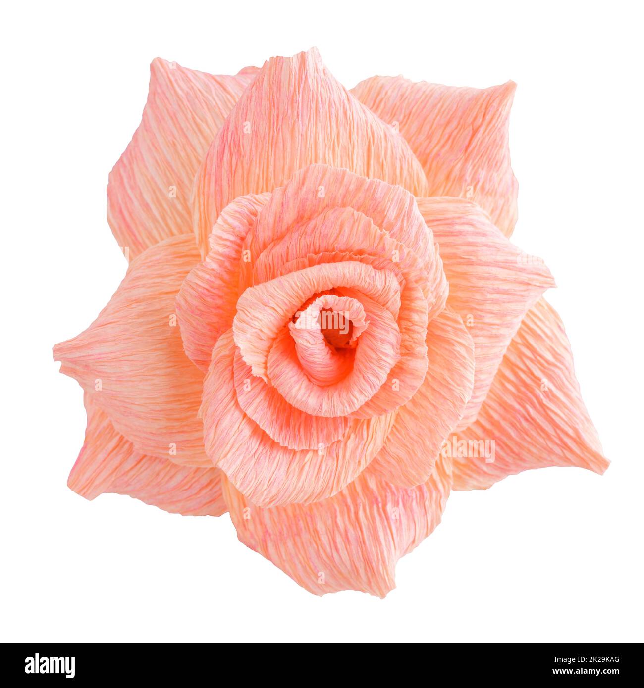 Paper flowers diy Cut Out Stock Images & Pictures - Alamy