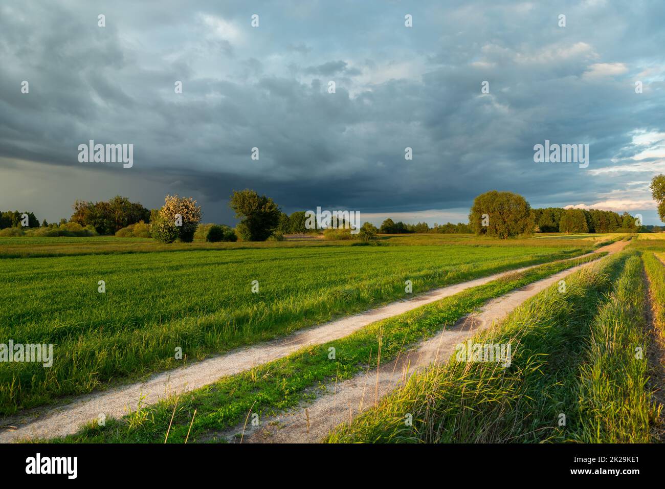 Rainy cloud and rural road through the fields Stock Photo - Alamy