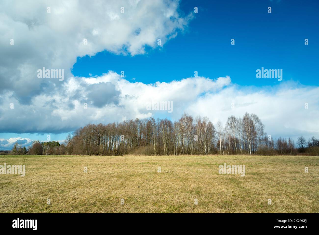 Spring meadow front hi-res stock photography and images - Alamy