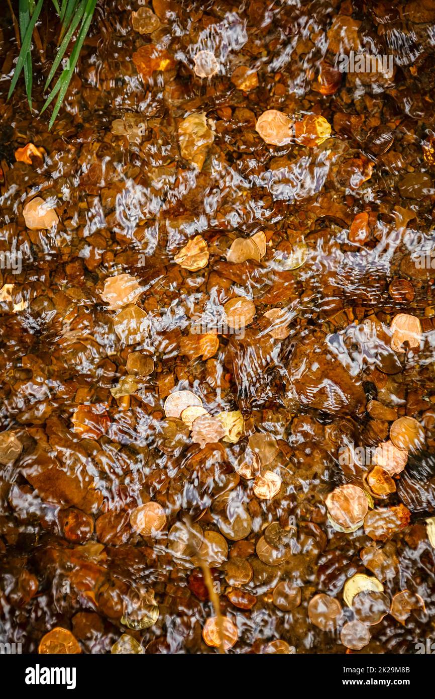 Coins at the bottom of the river Stock Photo - Alamy