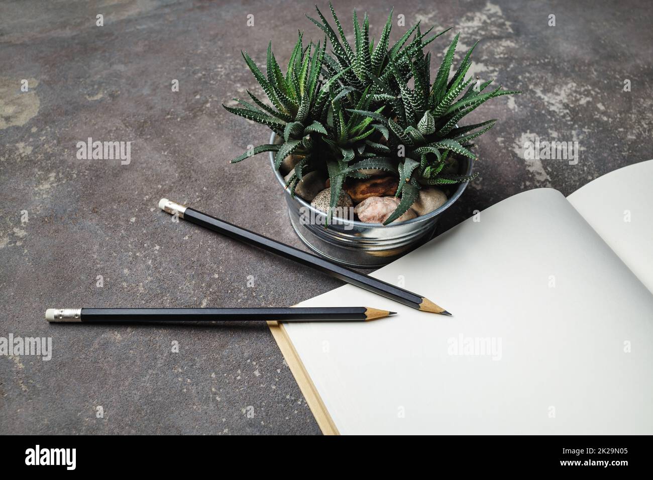 Pencils and plant Stock Photo - Alamy