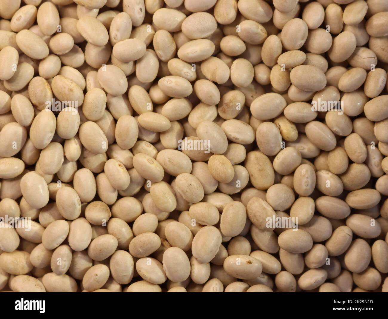 delicious beans beans healthy natural legumes needed background Stock ...