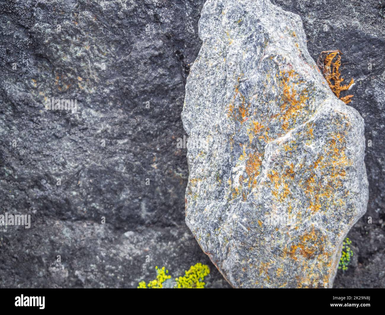 Stone rock texture with orange moss and lichen colors Norway Stock ...