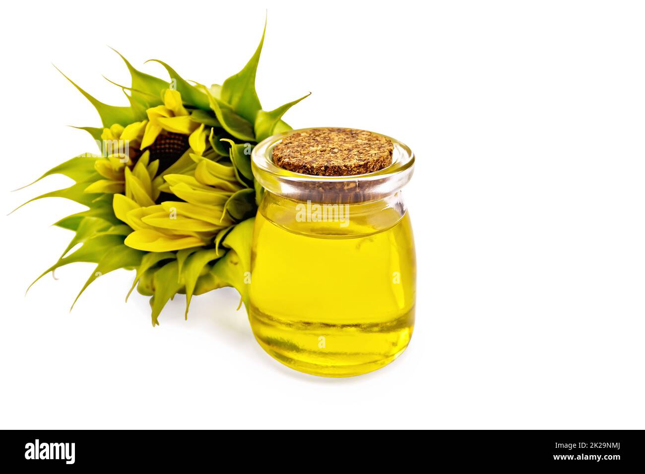 Oil seed flower hi-res stock photography and images - Alamy