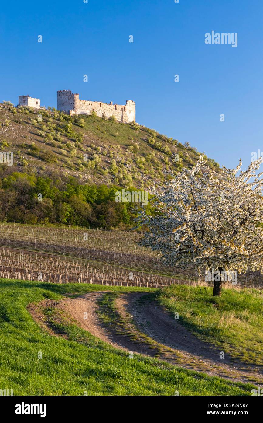 Spring landscape near Pavlov with Devicky ruins in Palava, Southern ...