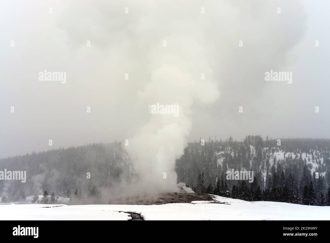 Old Faithful Geyser erupting Stock Photo - Alamy