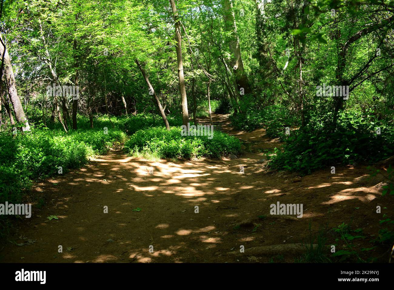 Two paths fork hi-res stock photography and images - Alamy