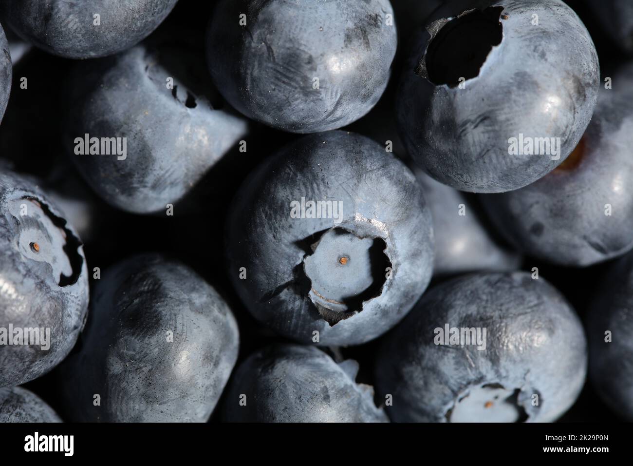 Organic blueberry hi-res stock photography and images - Alamy