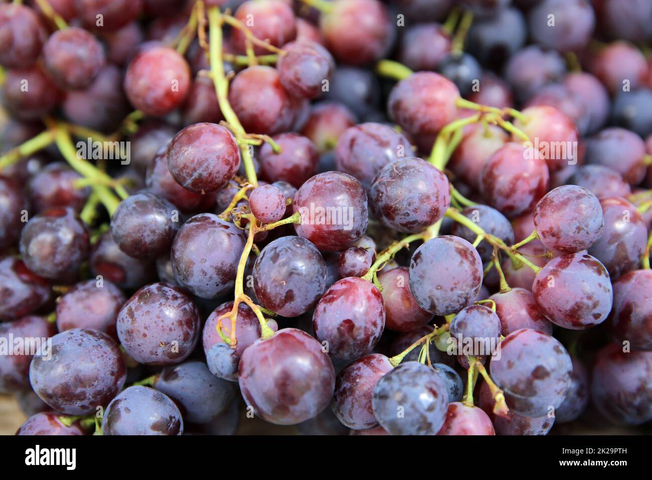 Red grapes heap on hi-res stock photography and images - Alamy