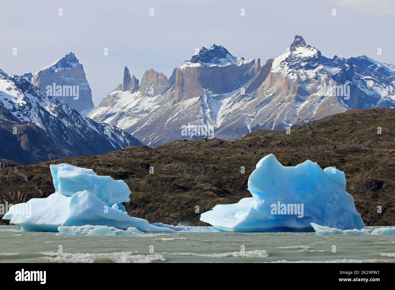 Icebergs in Lake Grey. Torres del Paine National Park. Patagonia. Chile ...