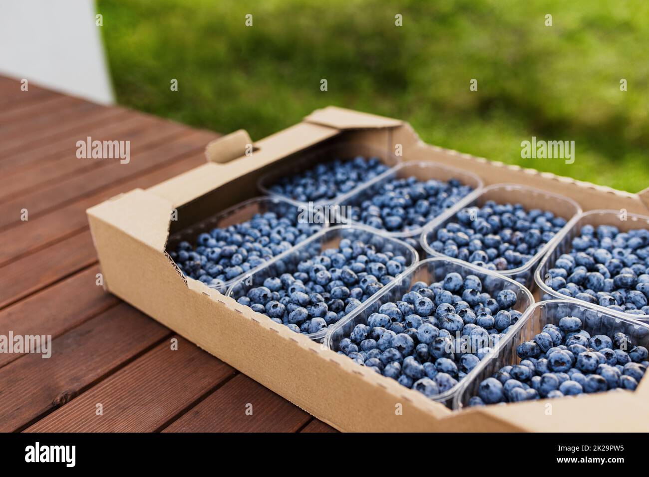 Box or crate with collected fresh blueberries. Berries agriculture ...