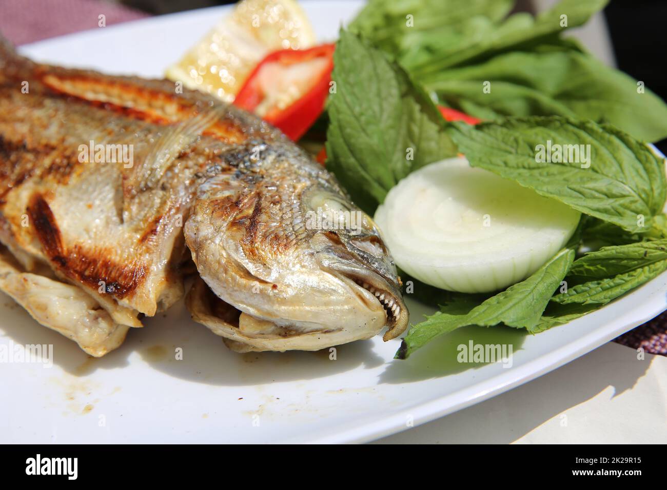 Turkey fish hi-res stock photography and images - Alamy