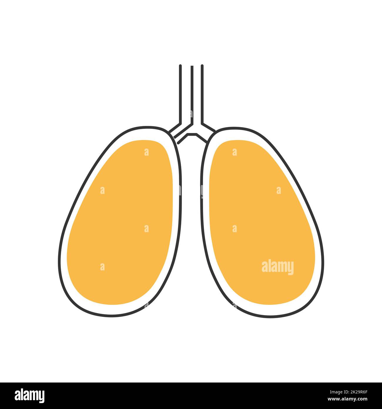 Stylish thin line lungs icon on white background - Vector Stock Photo ...