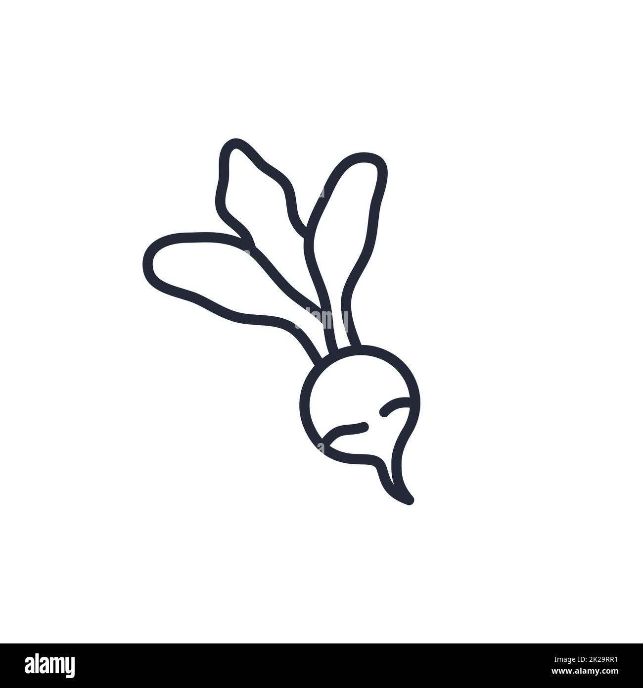 Stylish thin line icon of radish isolated on white background - Vector ...