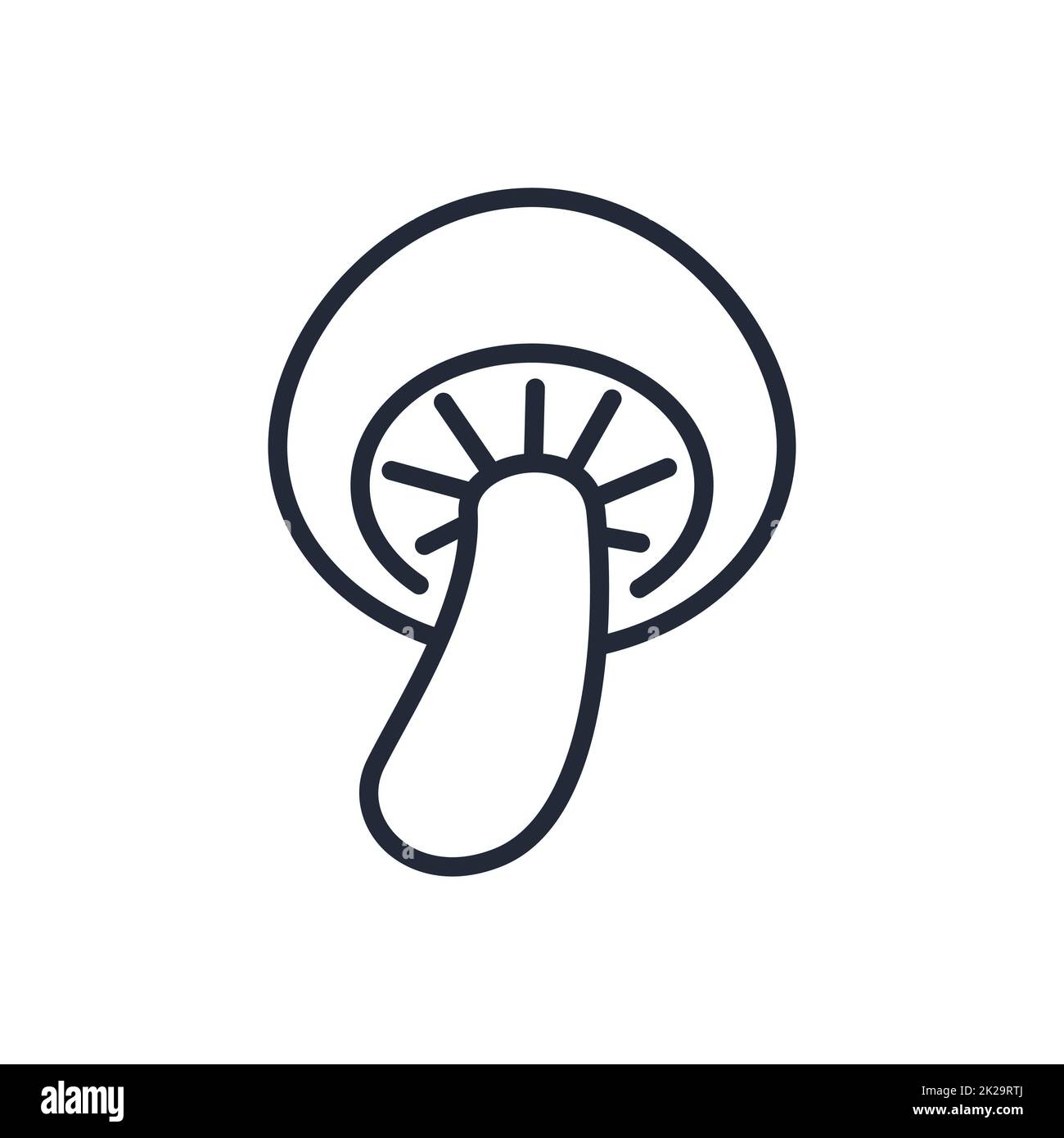 Stylish thin line icon of mushrooms on a white background - Vector ...