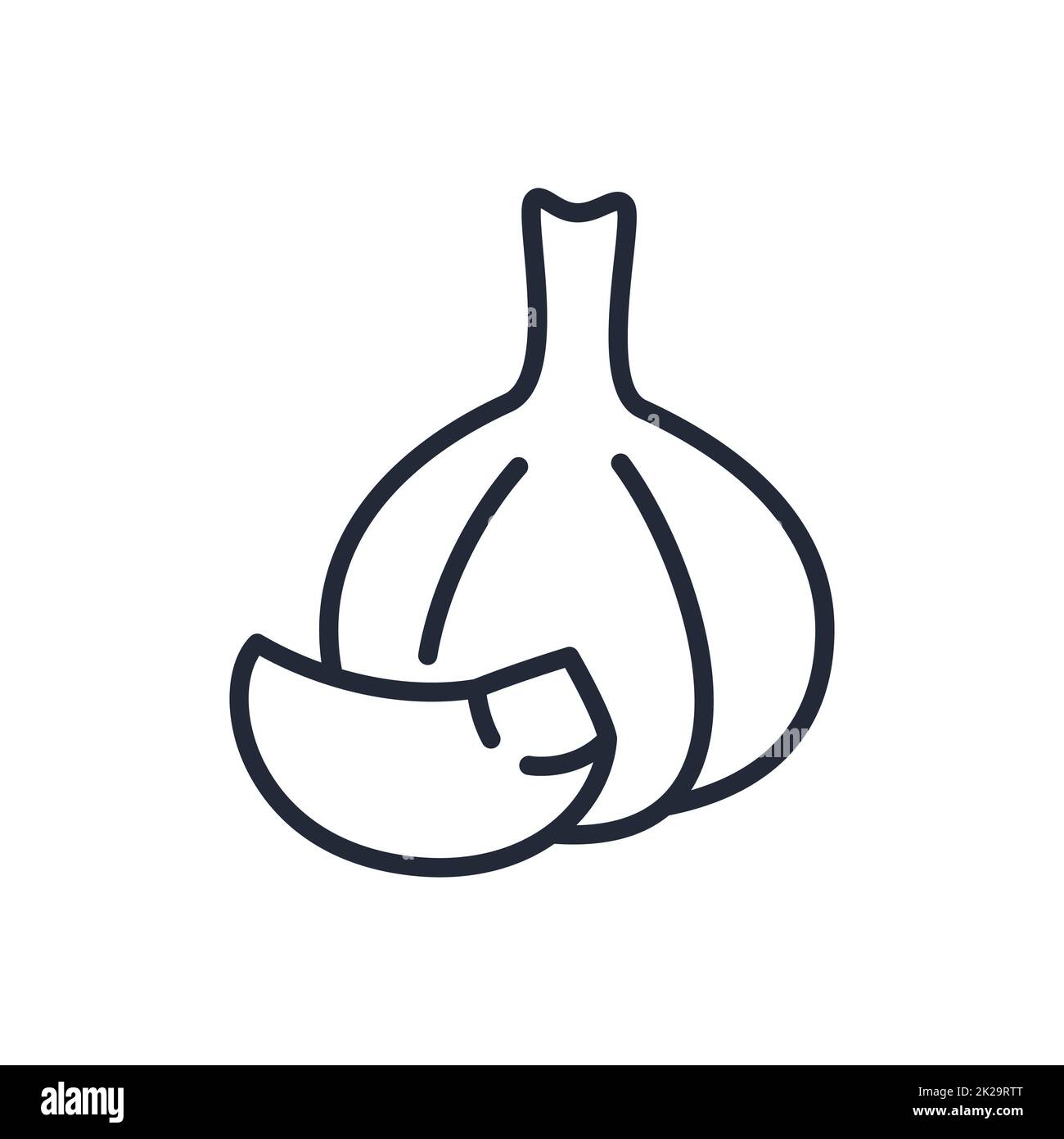 Stylish thin line garlic icon isolated on white background - Vector ...