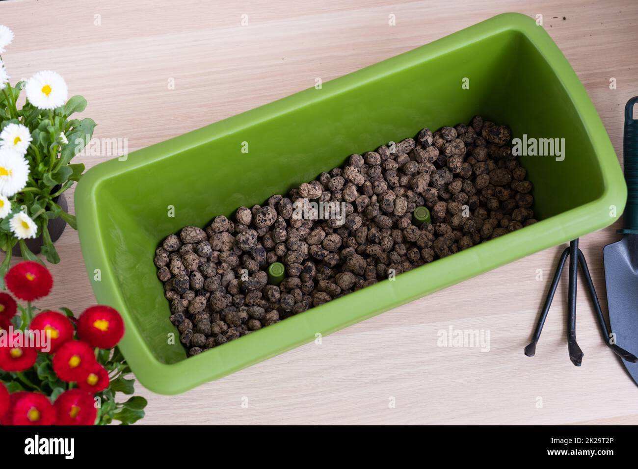 Expanded clay is poured into the bottom of the flower pot for drainage ...