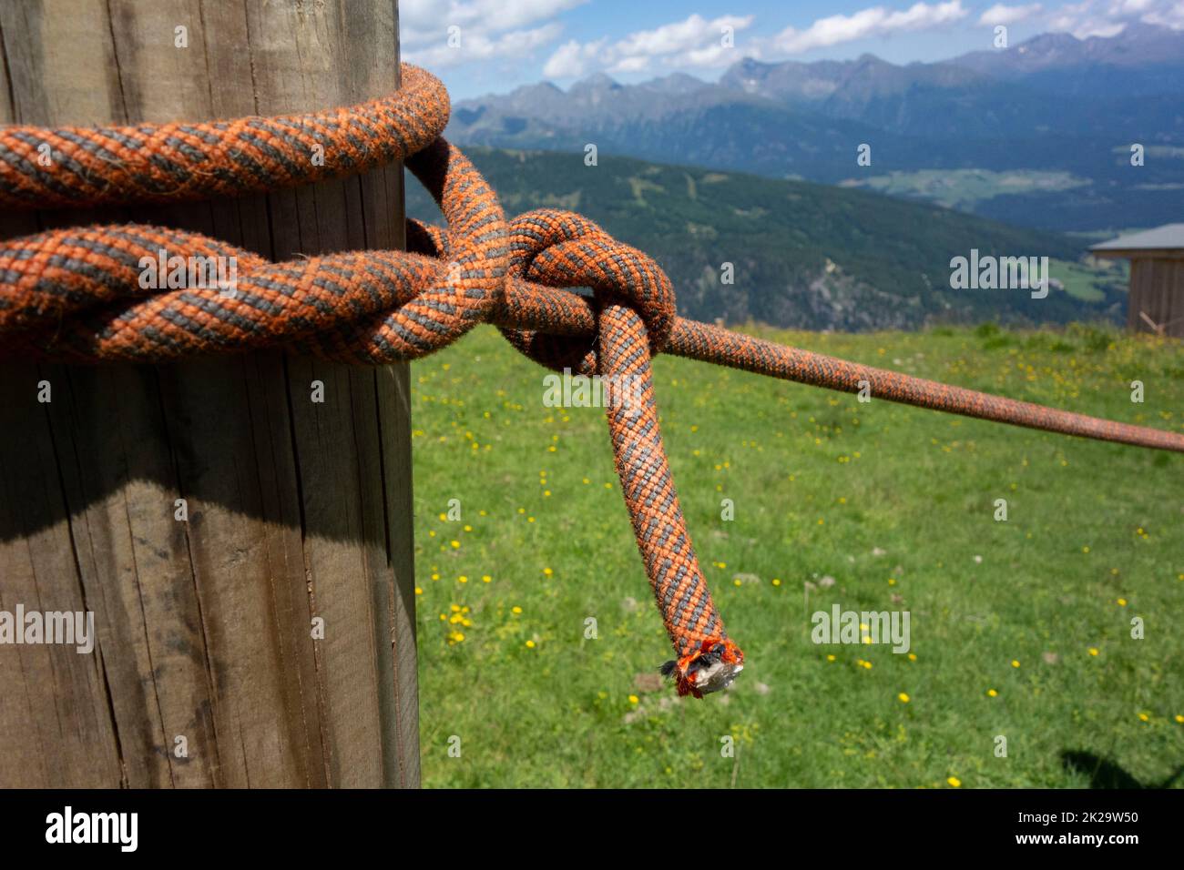 Cutting the knot hi-res stock photography and images - Alamy