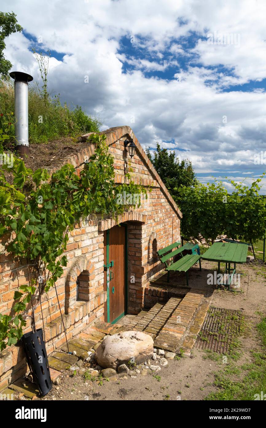 Wine cellars and vineyard in Palava region, Southern Moravia, Czech ...