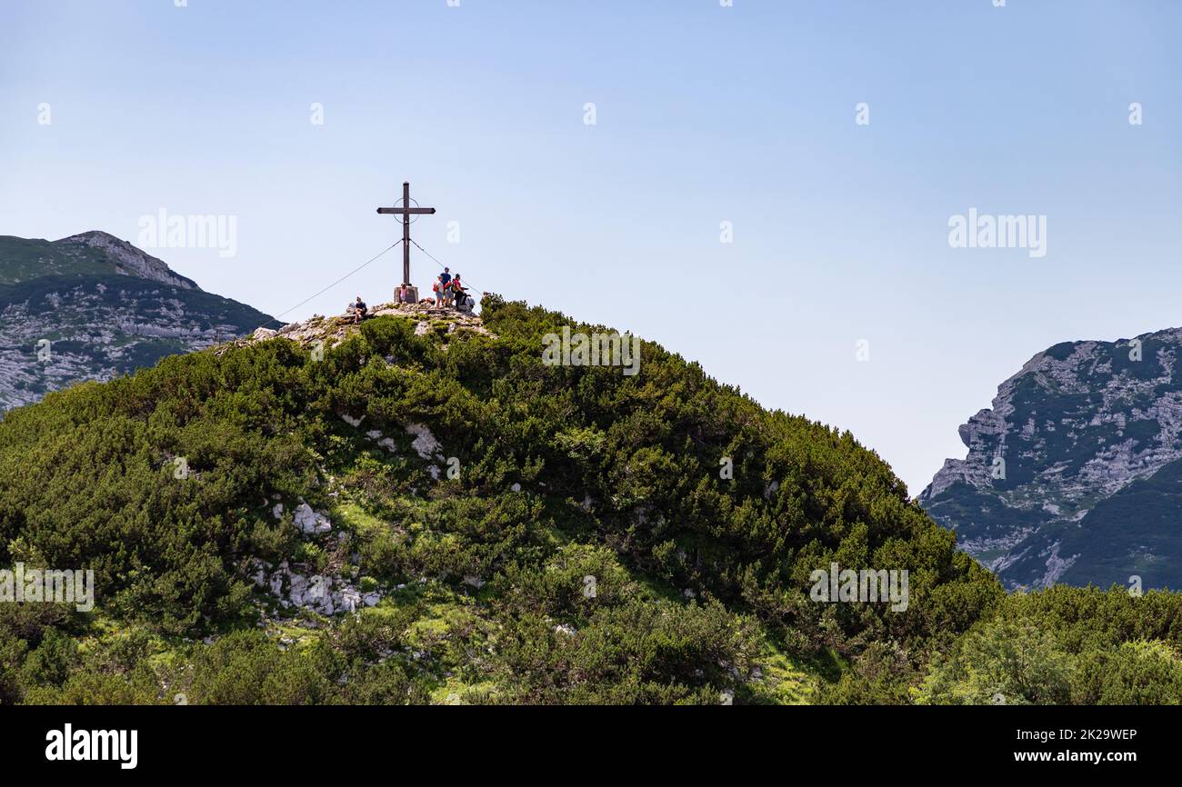 Eagles head hi-res stock photography and images - Alamy