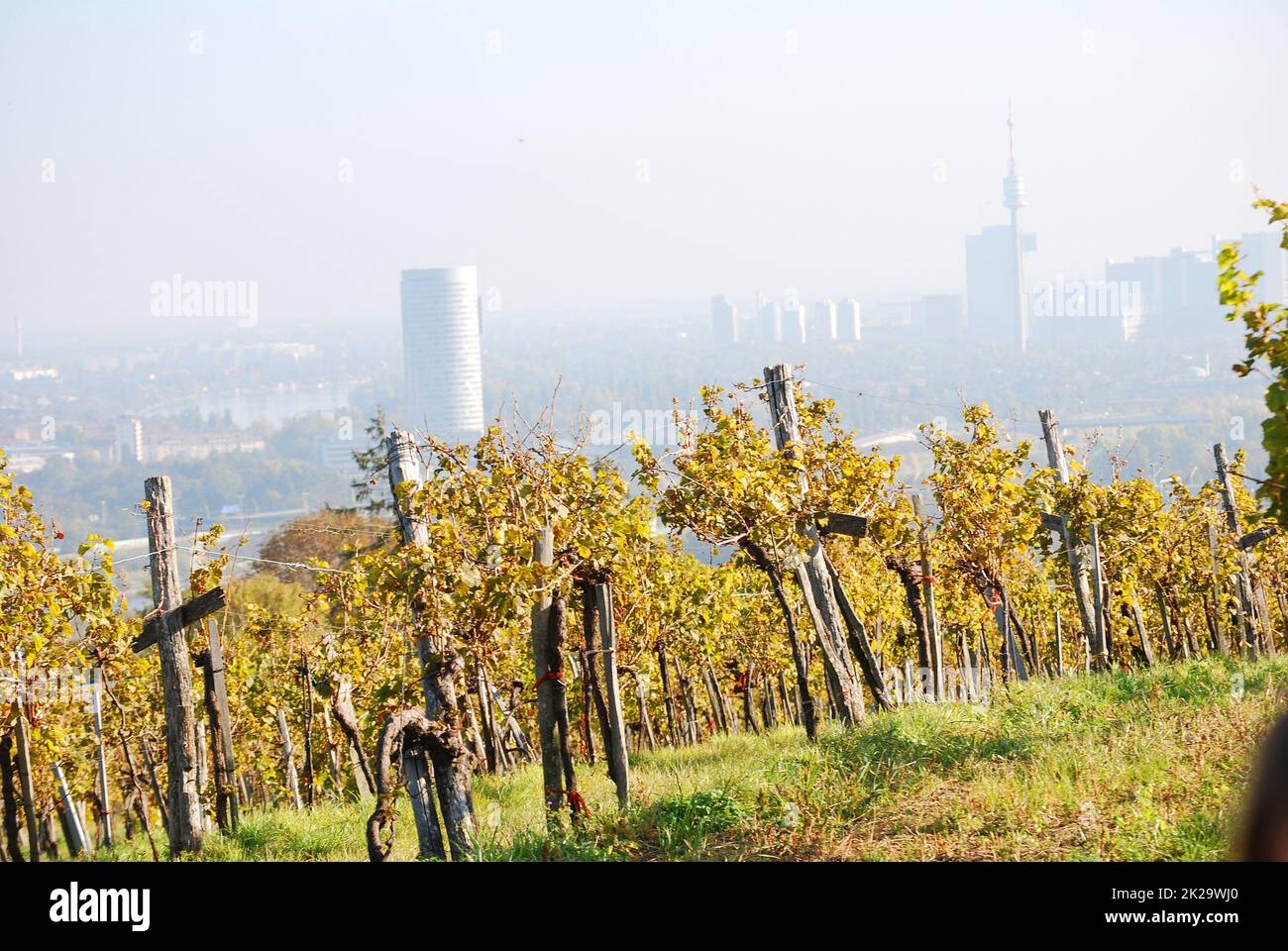 Autumn in Vienna Stock Photo - Alamy