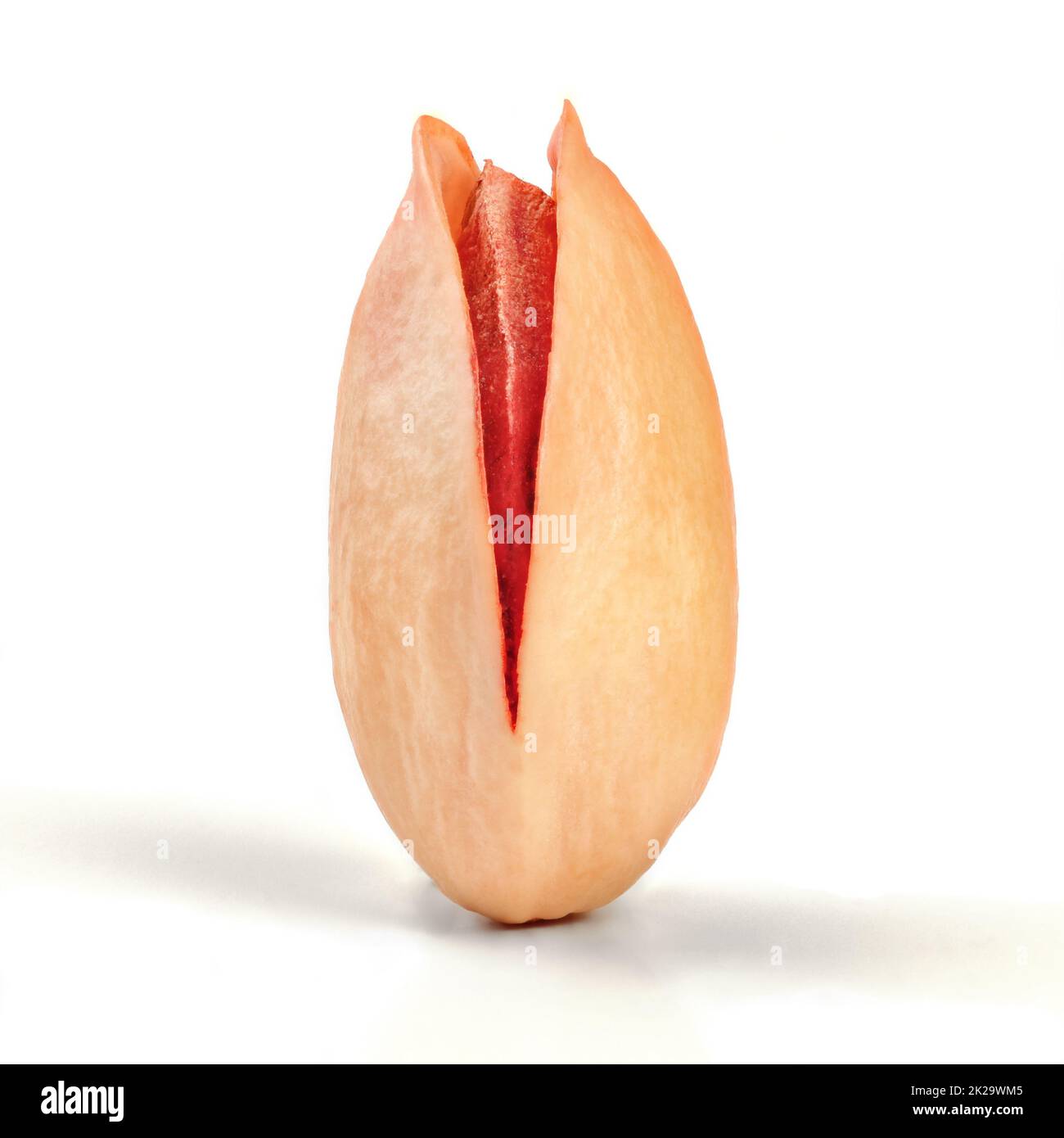 Single roasted red Turkish pistachio in cracked shell isolated on white ...