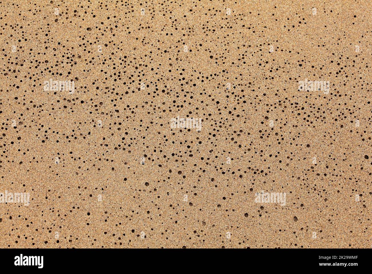 Wet sand on the beach drying water left small holes. Abstract marine ...