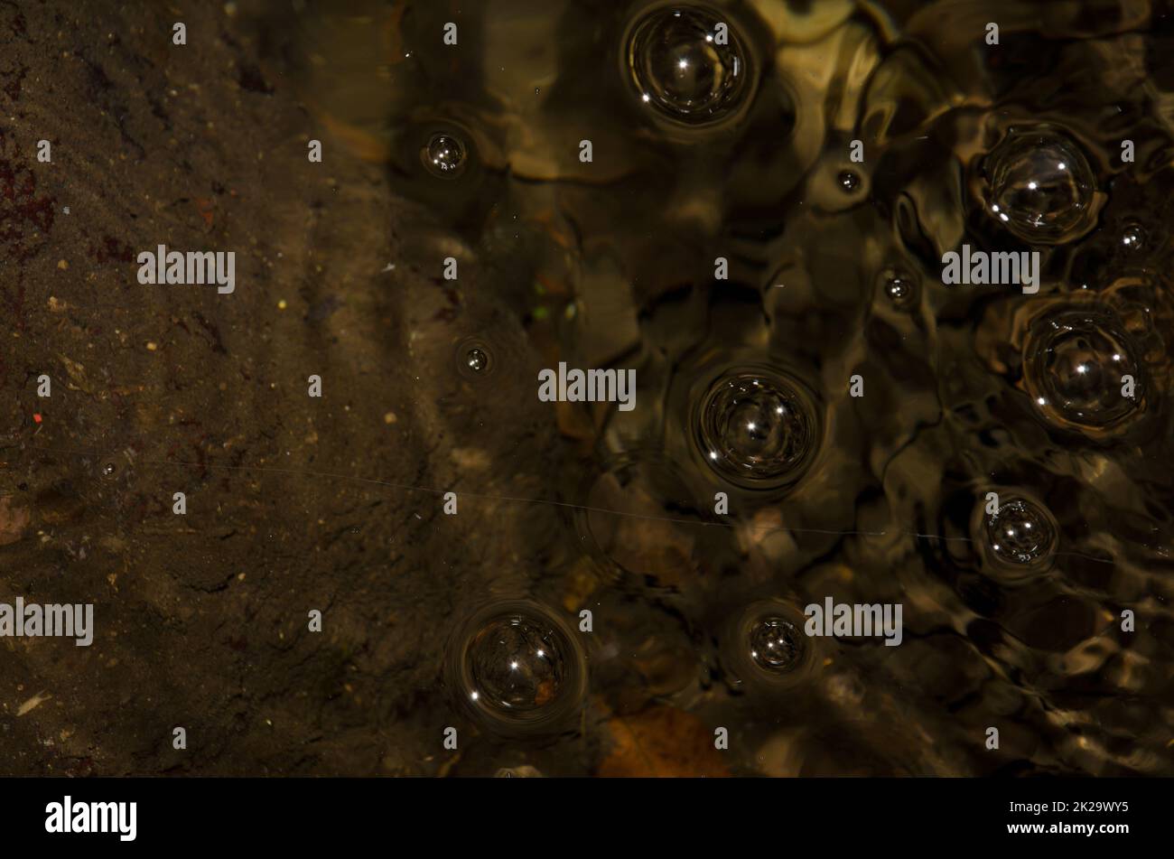 Bubbles on the surface of a stream Stock Photo - Alamy
