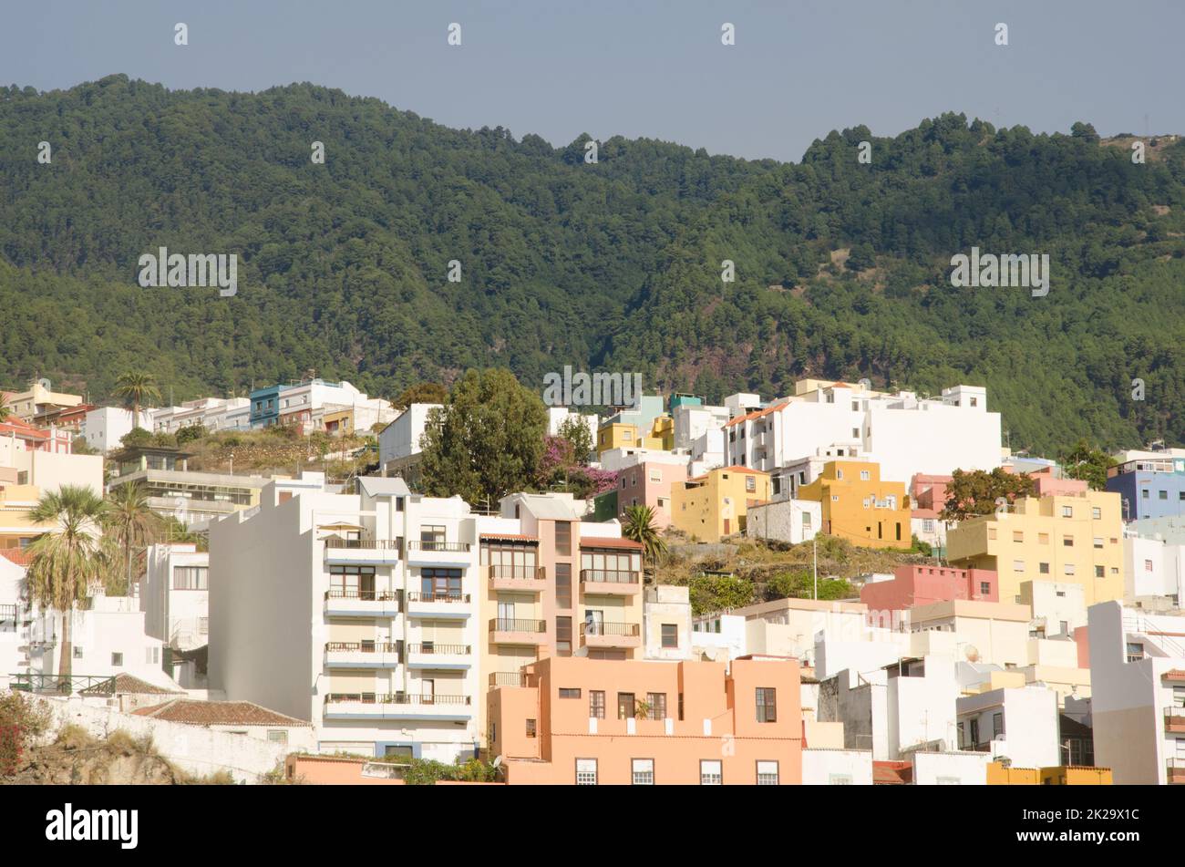Cityscape and forest in Santa Cruz de La Palma Stock Photo - Alamy