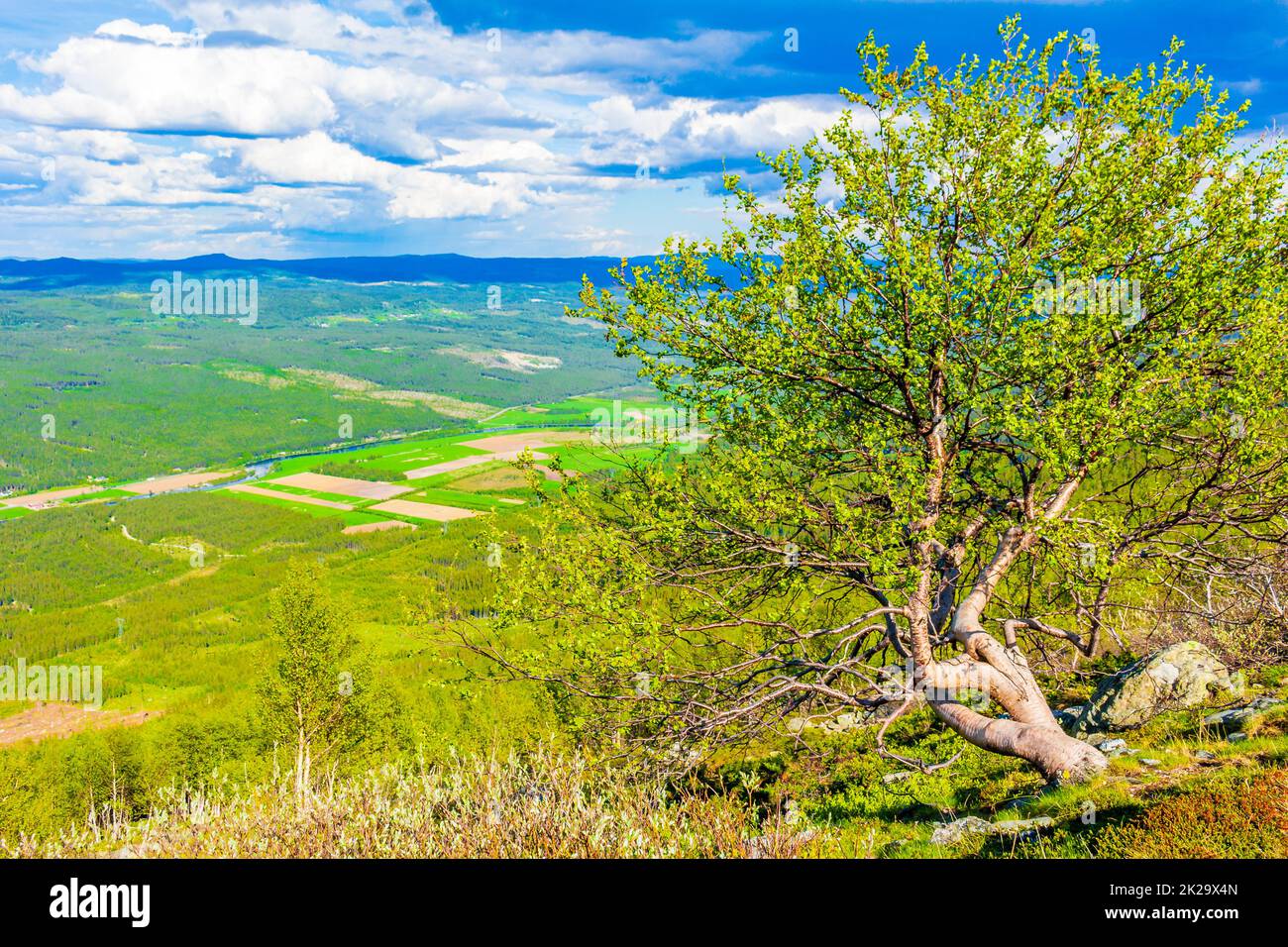 Hydalen hi-res stock photography and images - Alamy