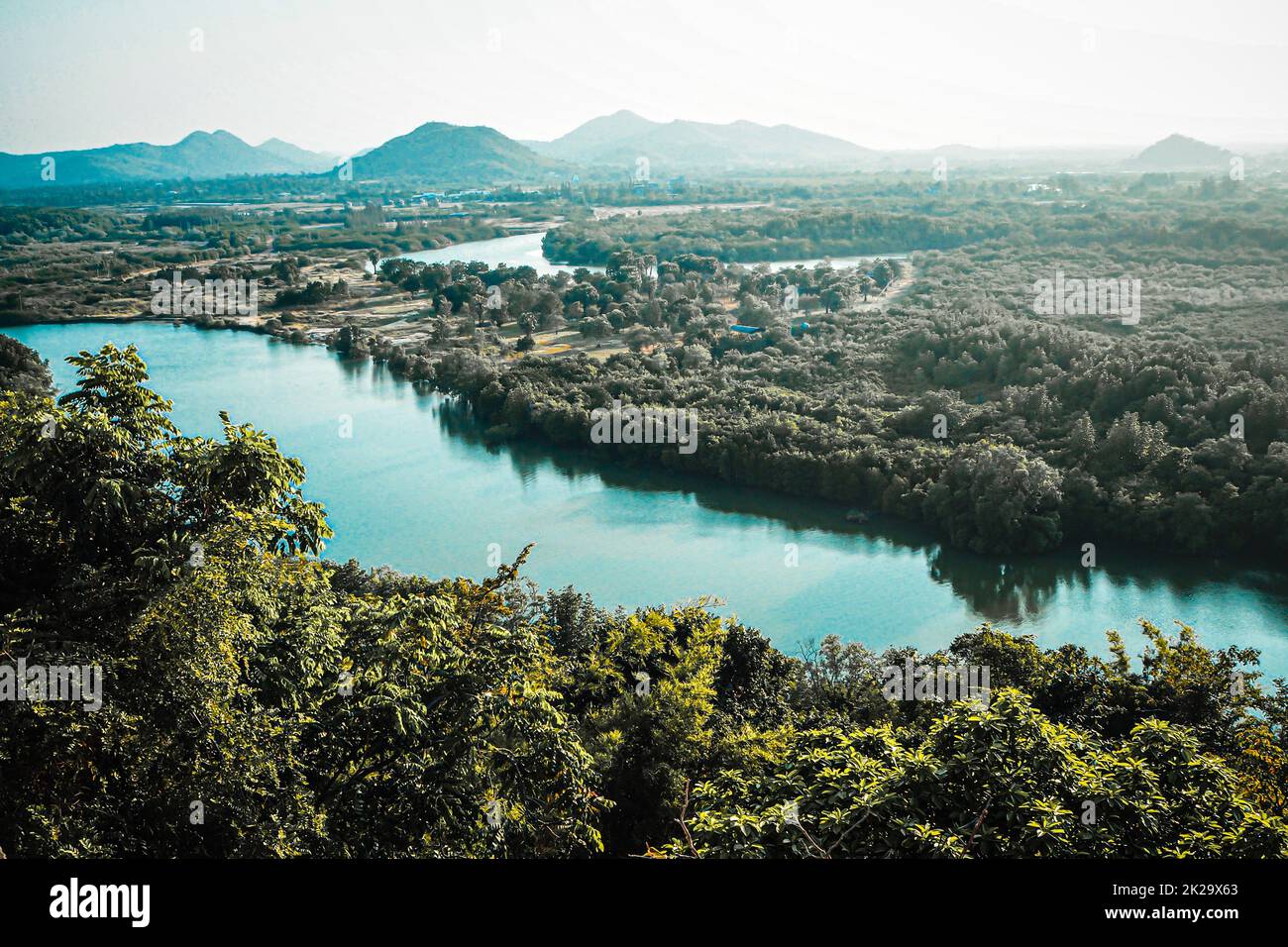 Aerial top view forest, Texture of mangrove forest view from above ...