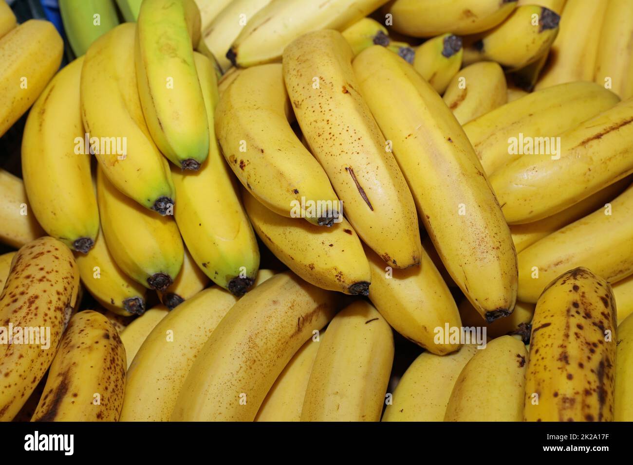 Banana farmers hi-res stock photography and images - Alamy