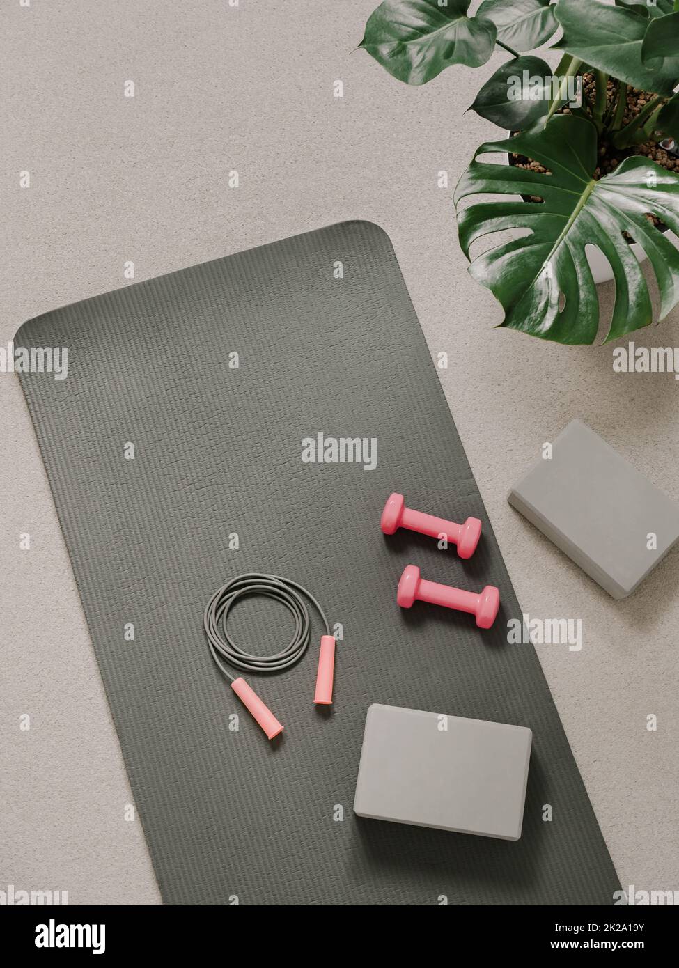 Gray mat plant hi-res stock photography and images - Alamy