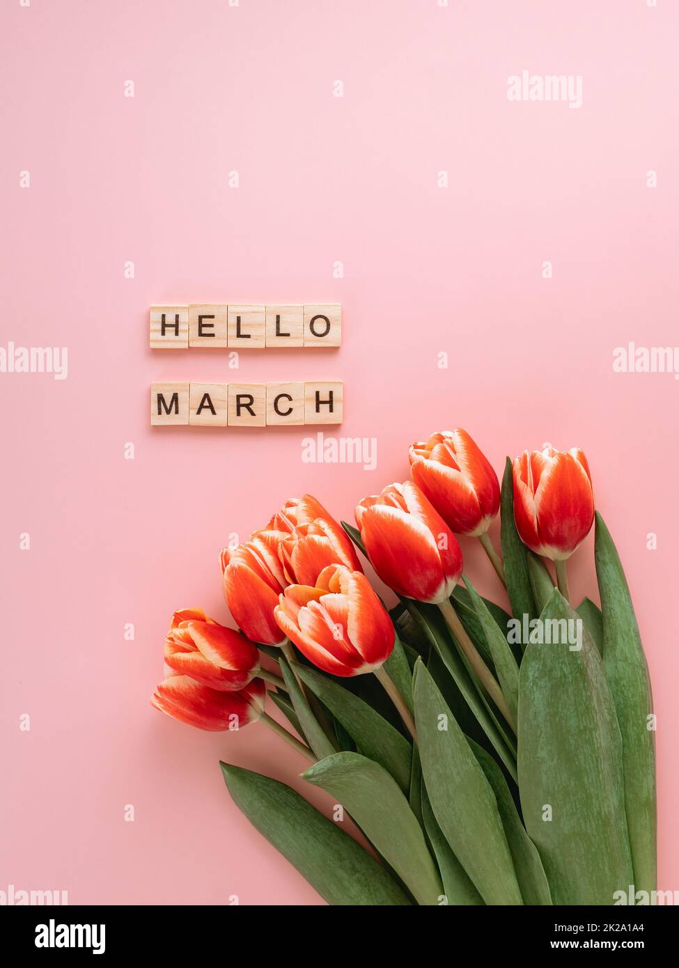 International women's day or eight march concept Stock Photo - Alamy